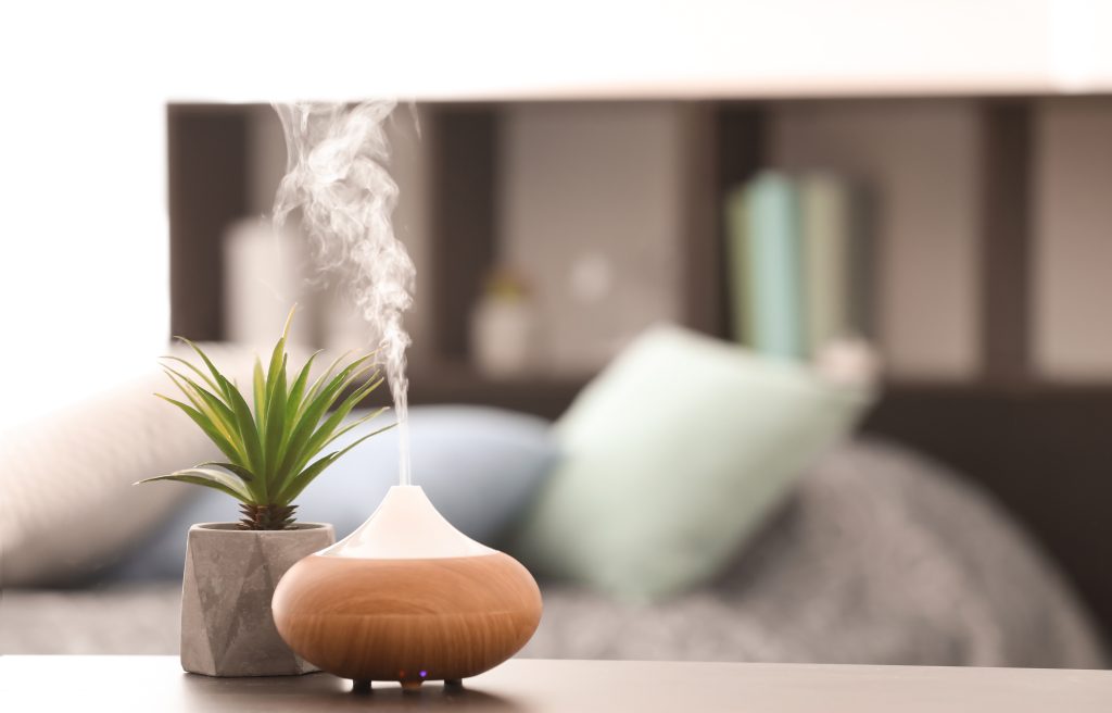 What Does a Humidifier Do? | The Ozone Hole
