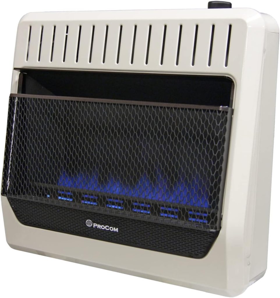 The Best Gas Heaters for Homes - Consumer Reviews - The Ozone Hole