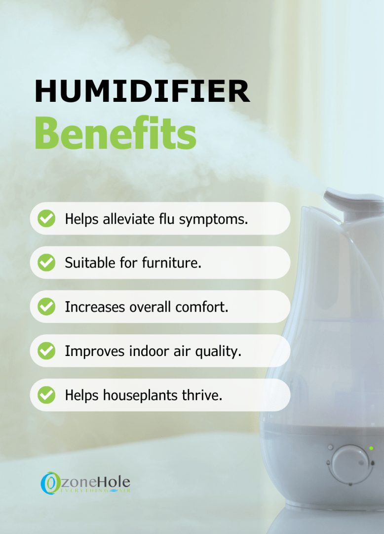 Diffuser vs Humidifier - What's the Difference? - The Ozone Hole