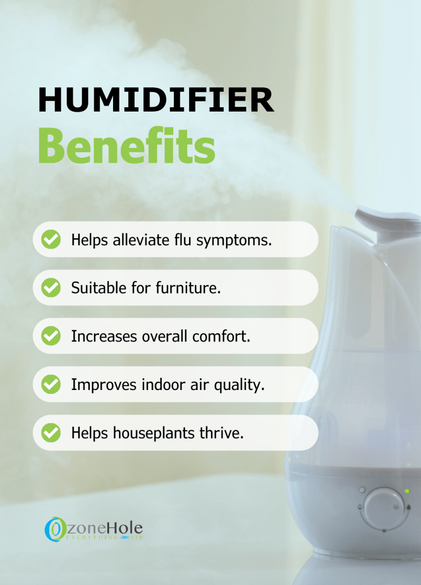 Diffuser vs Humidifier - What's the Difference? - The Ozone Hole