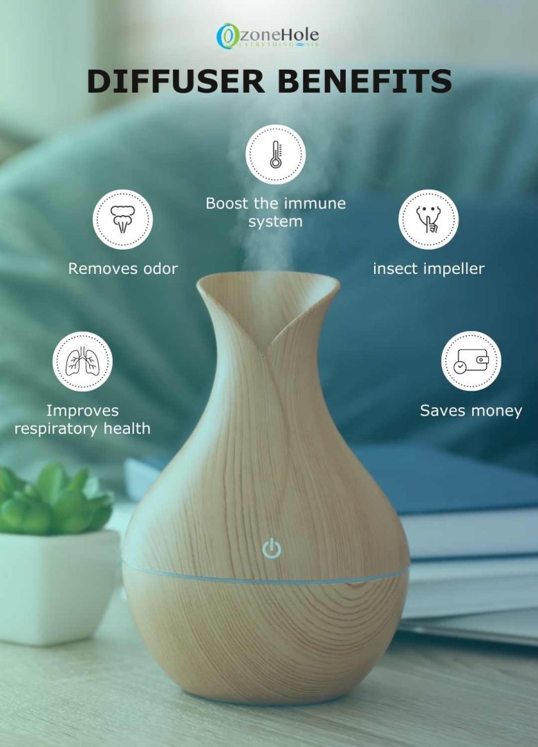 Diffuser vs Humidifier - What's the Difference? - The Ozone Hole